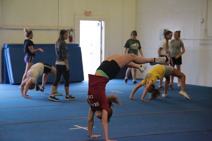 Tumbling Classes | the-tumble-tree