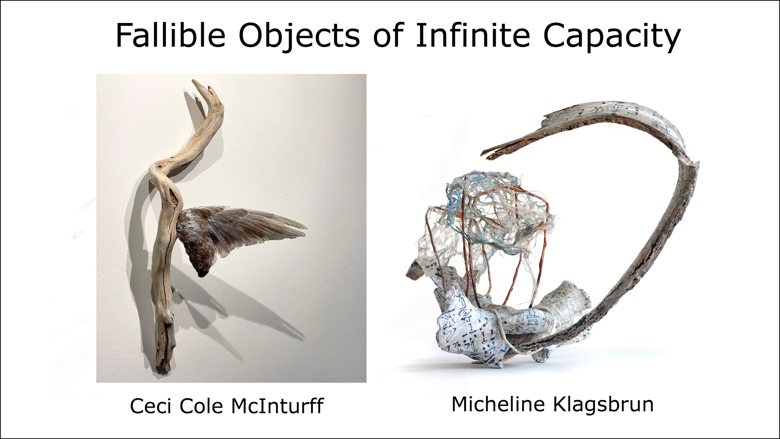 Fallible Objects of Infinite Capacity by Ceci Cole McInturff ...