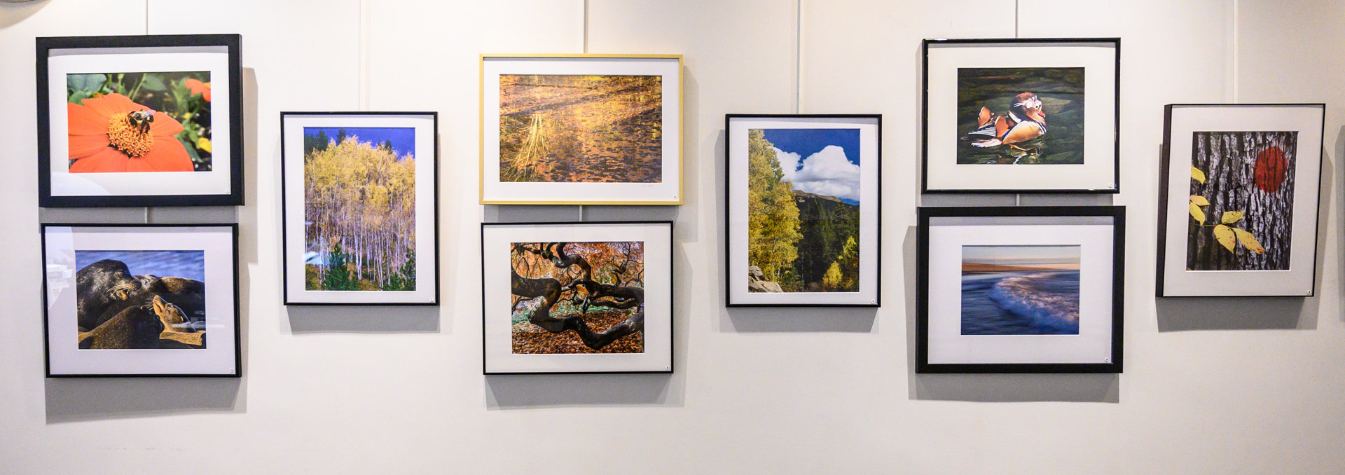 2024 Newton Library Show