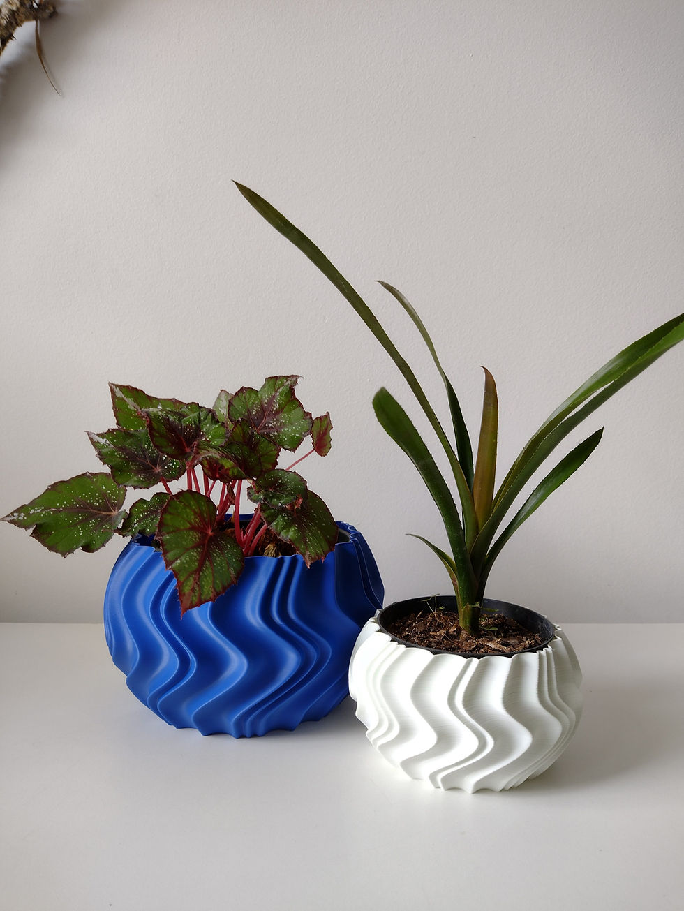 Fluxus | Studio Anna Machado