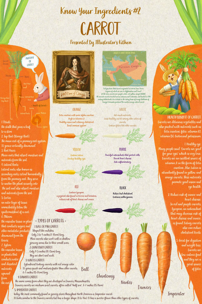 Know Your Ingredients Ep.2 Carrot