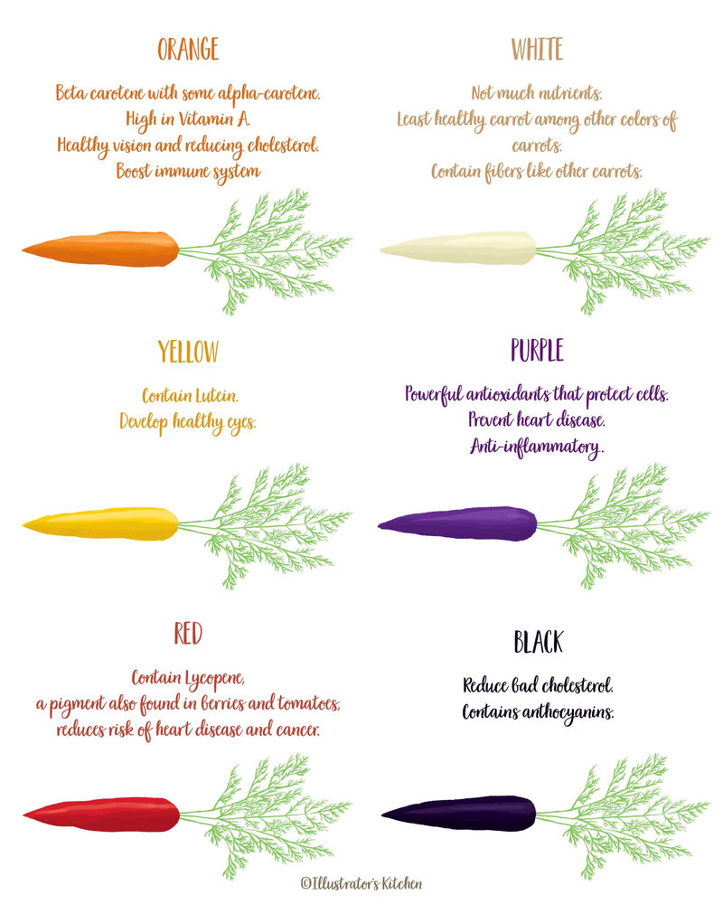 Know Your Ingredients Ep.2 Carrot