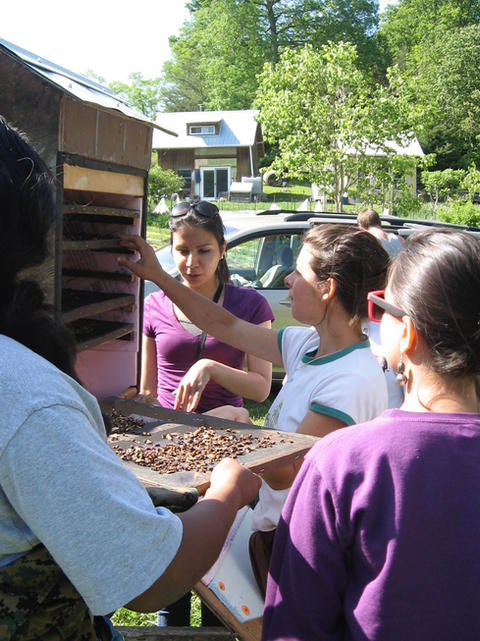 FARM SYSTEMS | Salamander Springs