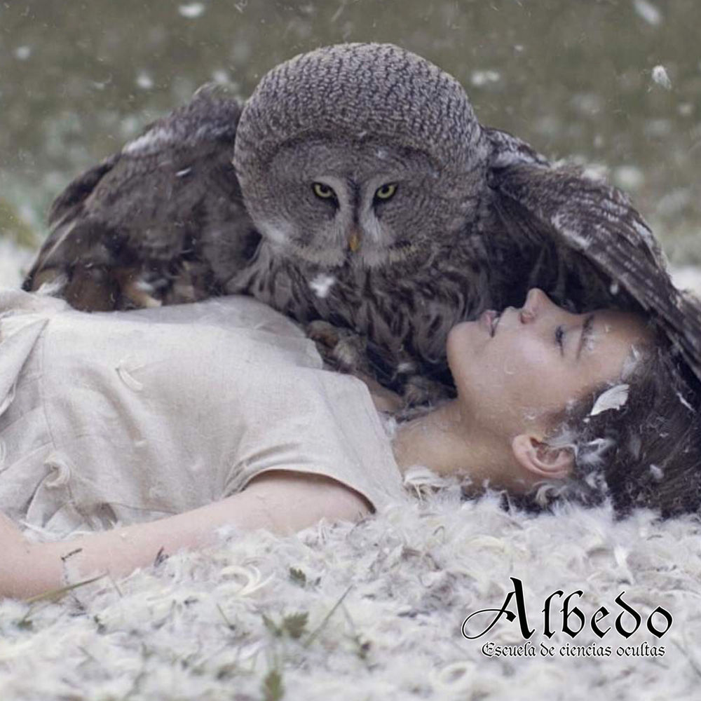 Búho, animal mágico