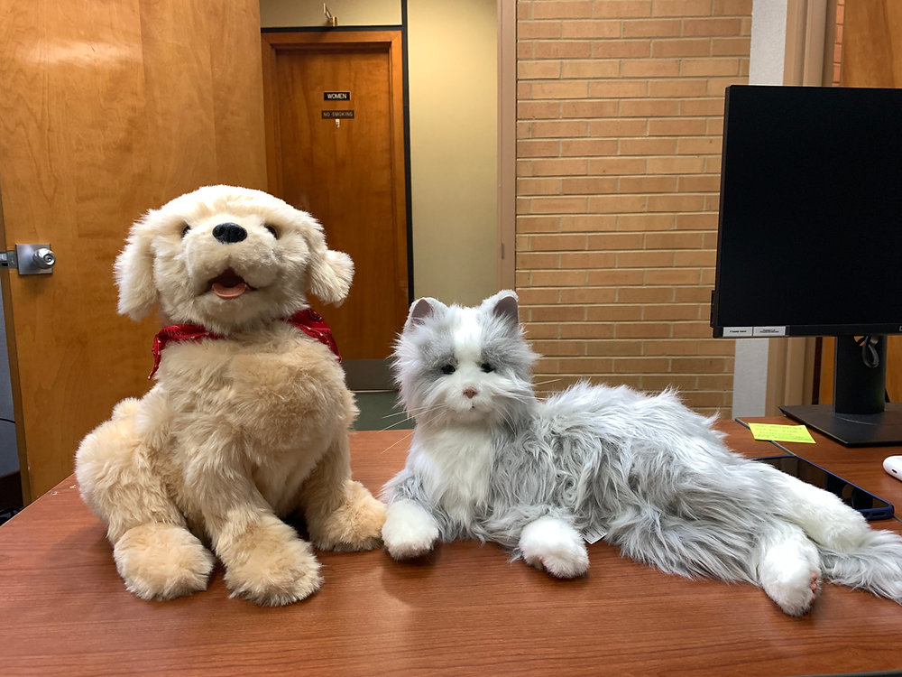 FTAAAD Awarded Grant to Purchase Assistive Devices for Older Adults ...