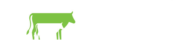 X-Zelit | X-Zelit NZ