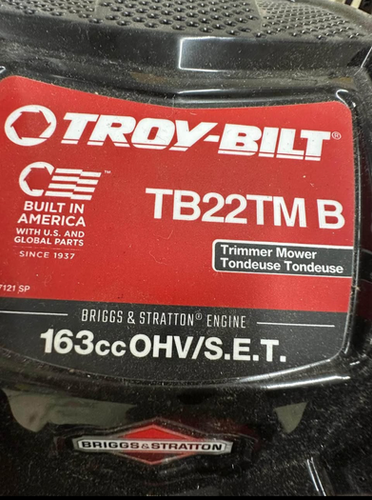 Toro 22 in. Gas-Powered 163cc 4- Cycle Briggs & Stratton Engine Walk ...