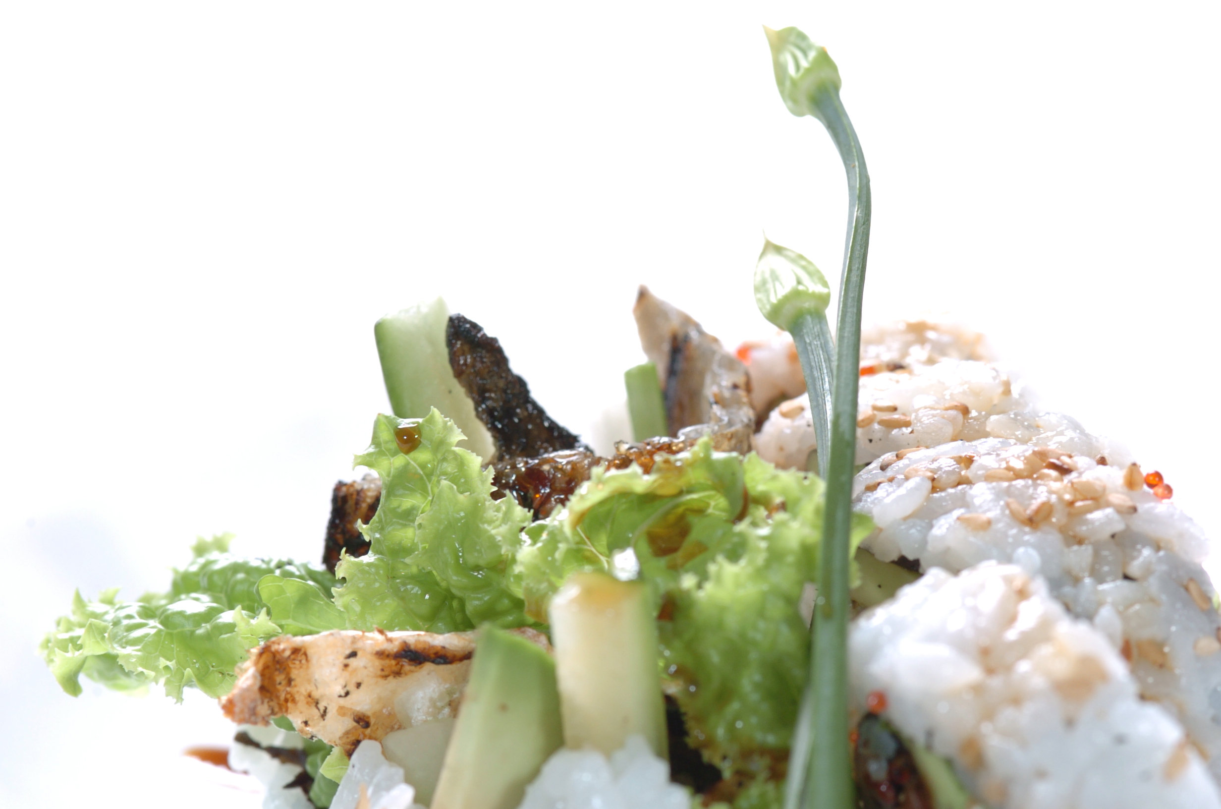 Ken Sushi House Waterloo Ontario