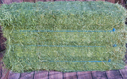 Alfalfa 3rd Cutting - Priced per Ton | Duncan Family Farms