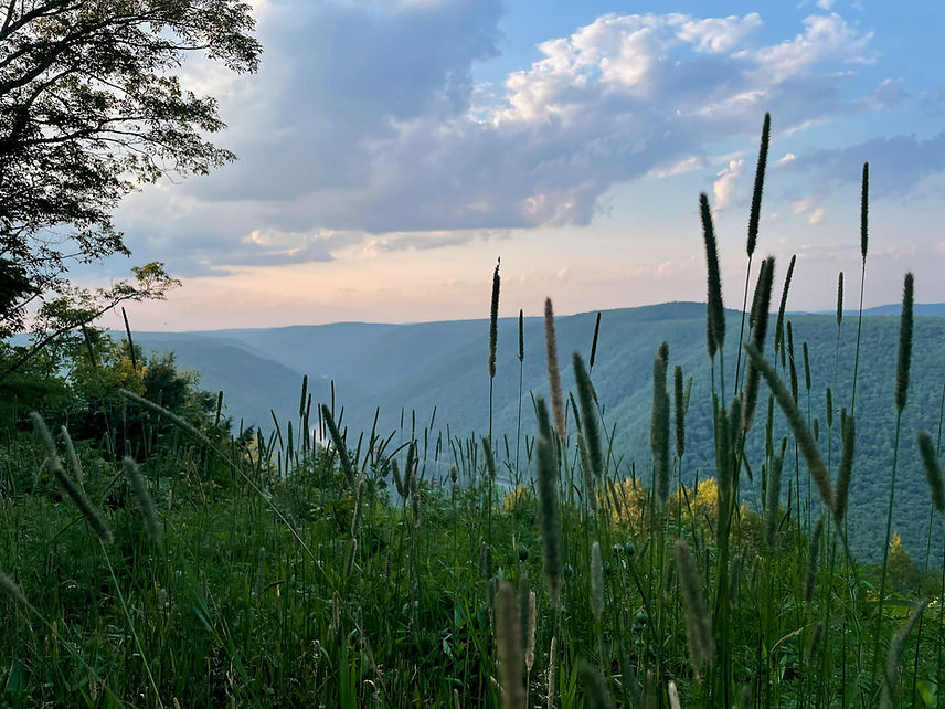 Grandview Hotels | Lodging in Lock Haven Pa