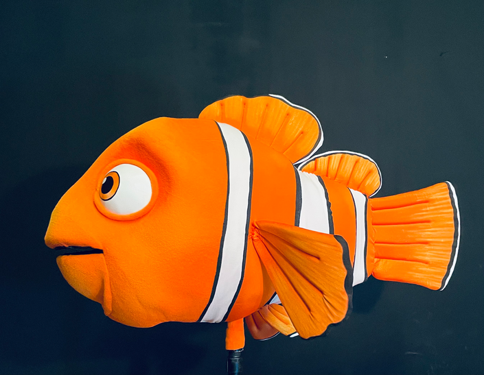 Finding Nemo | AfsanehAayani