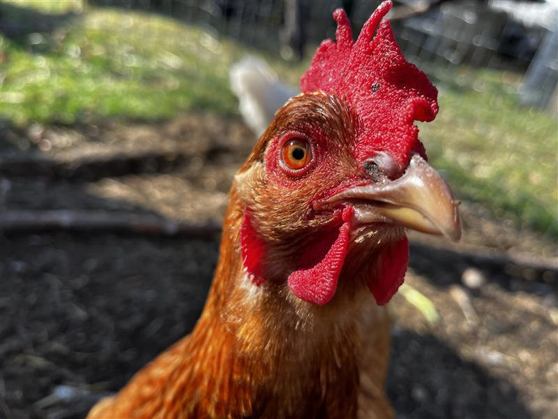 Leah Egnaczyk | The Alliance