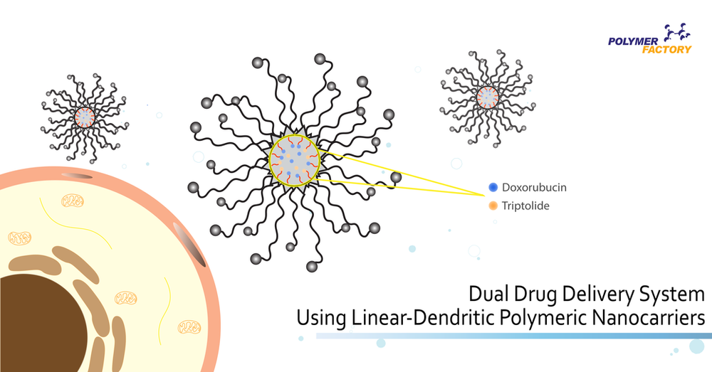 Dual Drug Delivery System Using Linear-dendritic Polymeric Nano-carriers