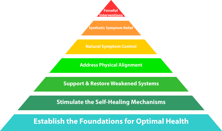 Naturopathic Medicine | drmeghasanghi.Com