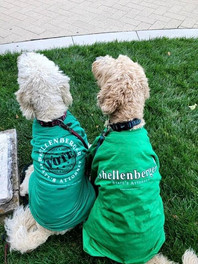 HOME | Baltimore County State's Attorney Scott Shellenberger