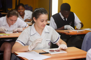 High School | RBC School