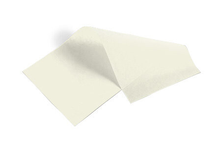 Birch 20x30/480 Sheets Tissue | Western Foil Corp