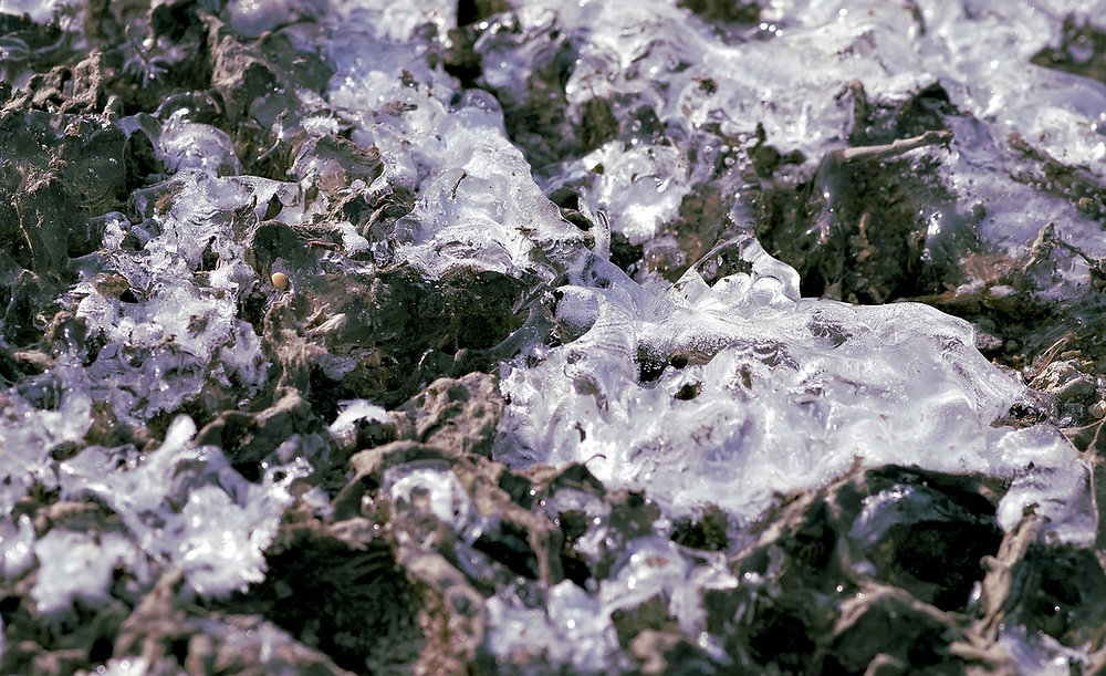 Alpine permafrost and the Body Bag Bowl rock glacier