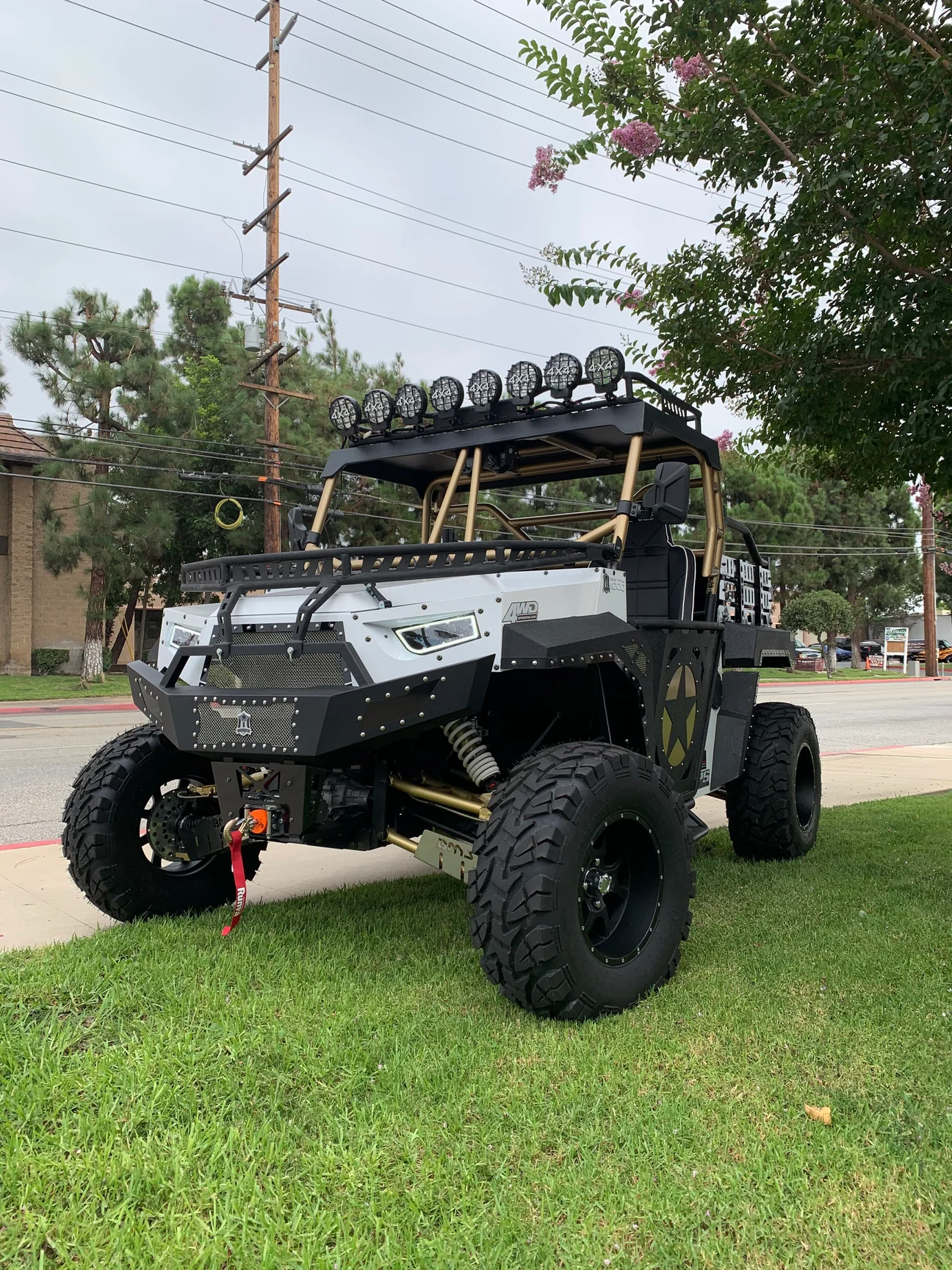 Beast 1000 Super Mega UTV- 2 Seater | Outdoor Toys and Acc