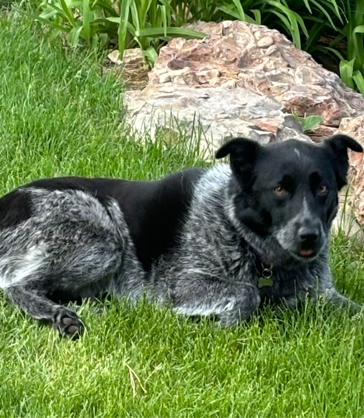 Kali Meade | Chateau Health & Wellness