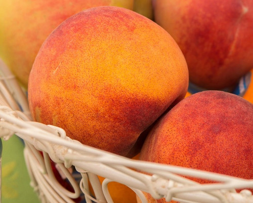 Rich Lady Peach (20 lbs.) | profarm