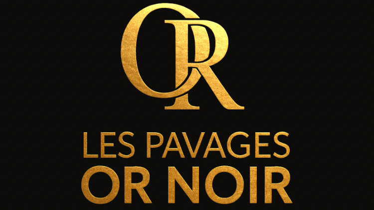 NOS SERVICES | Les Pavages Or Noir
