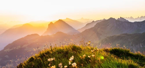 All Products | Annie Barr Training