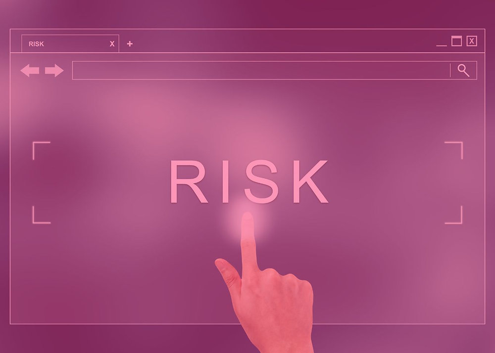 What are the top 10 risks to your website?