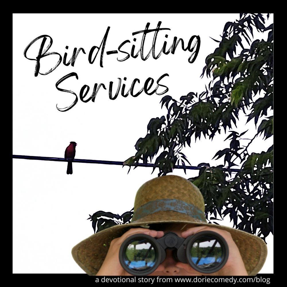 Bird-sitting Services