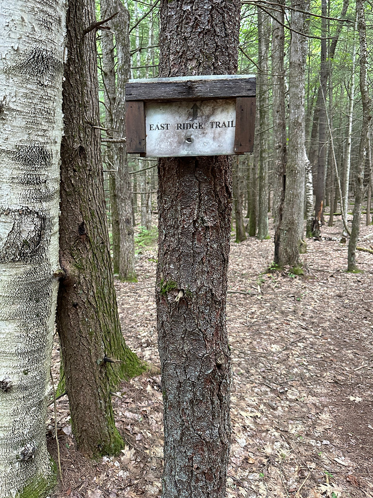 Trails vs. Class VI Roads - What's the Difference?