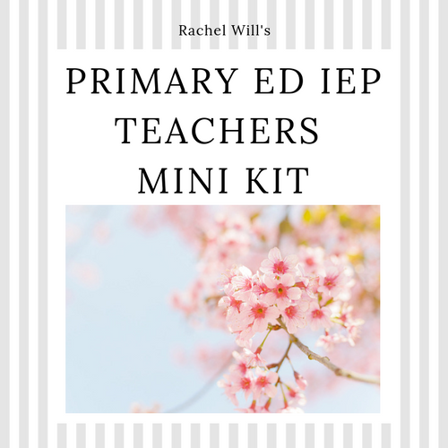 IEP Mini Kit for Primary Teachers | Boost Education
