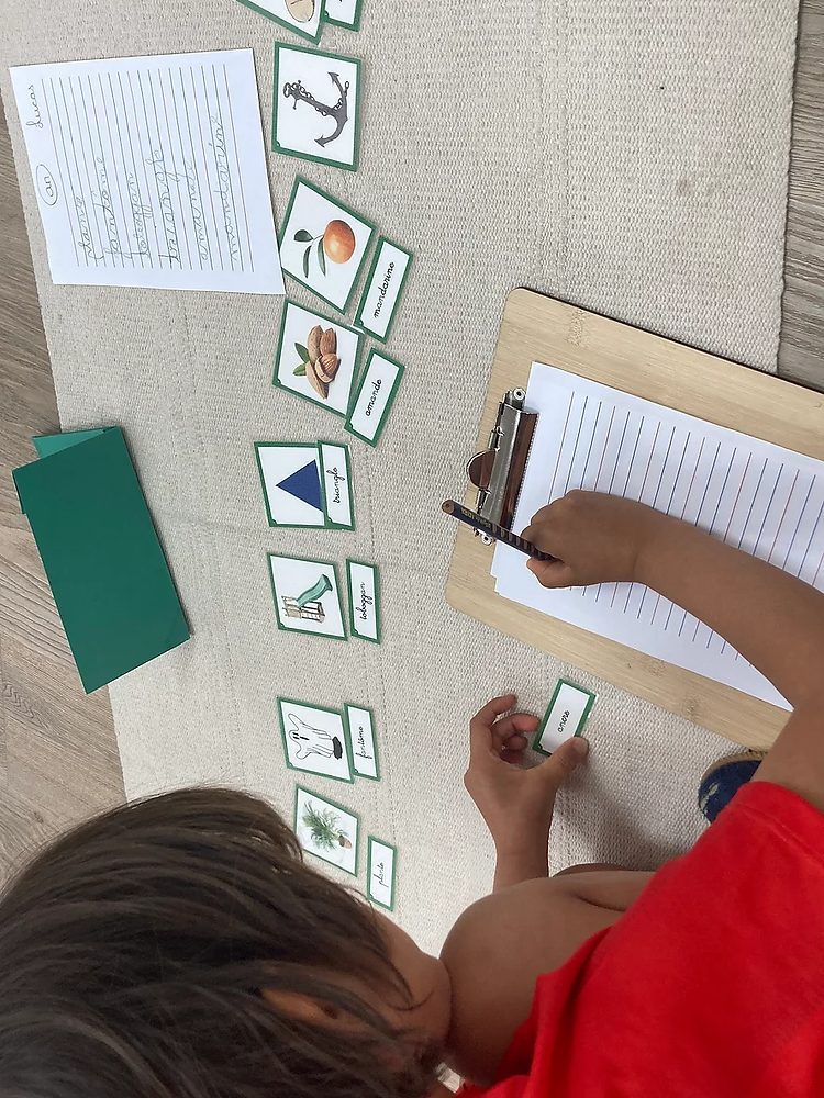 6 Weeks to Transform Learning: What Role Does Trust Play in Montessori ...