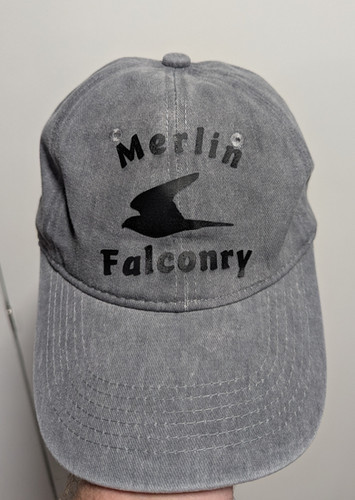 Baseball cap - "Merlin Falconry" | mysite
