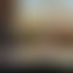 Art Classes Sarasota | Jenny Berry Artist