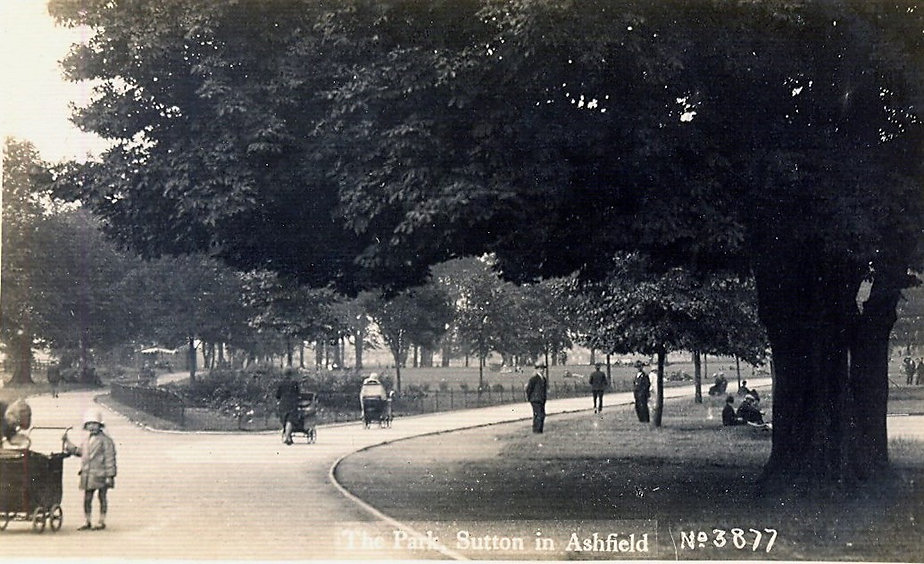 The Lawn | sutton-in-ashfield