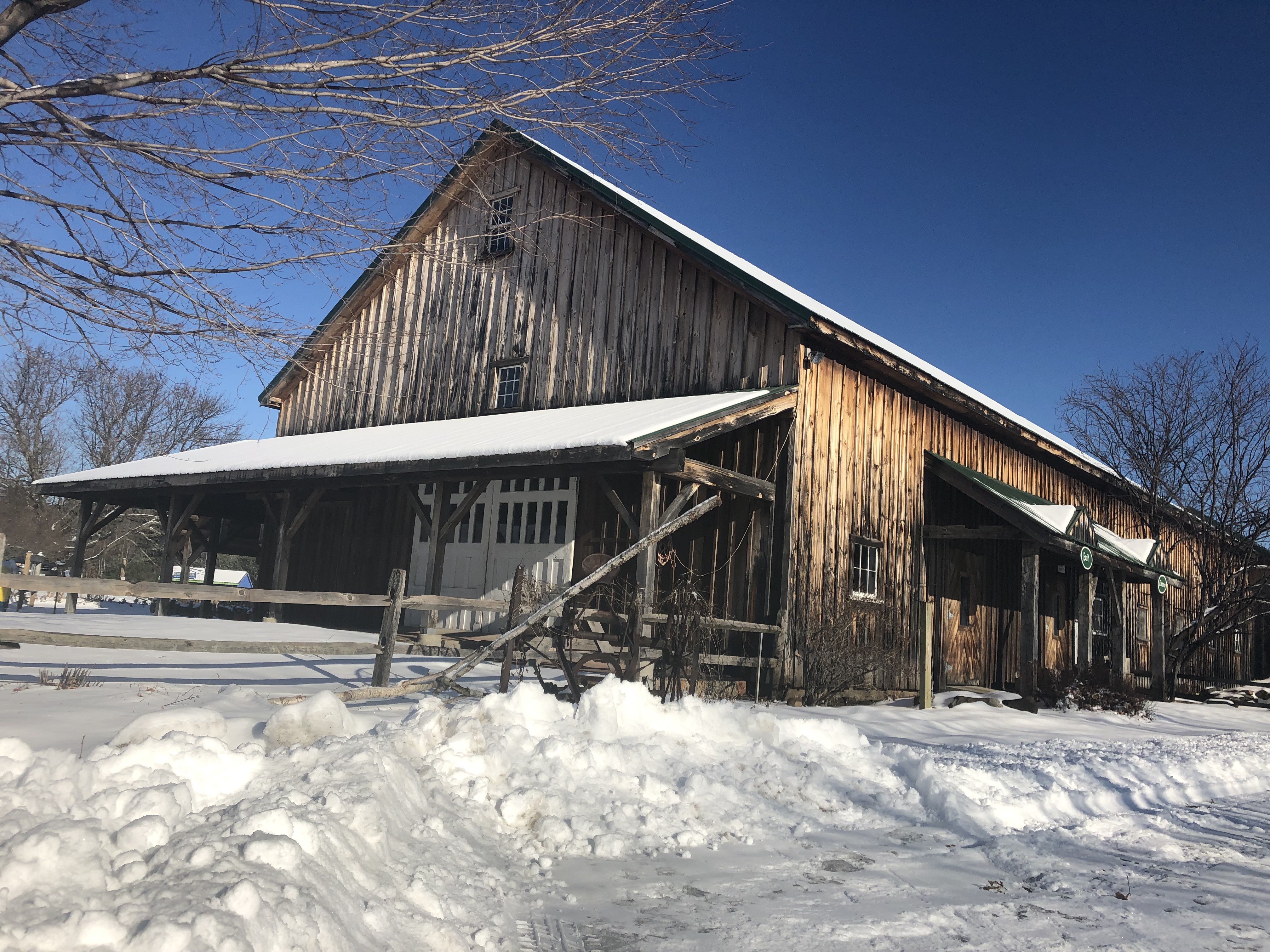 Beans & Greens Farm | Our Farm