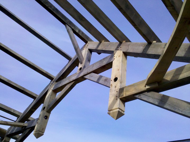 Beans & Greens Farm | Our Farm