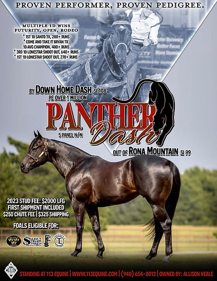 PANTHER DASH