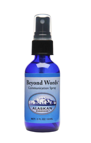 Beyond Words 2 oz (Communication Spray) | selfcareresources