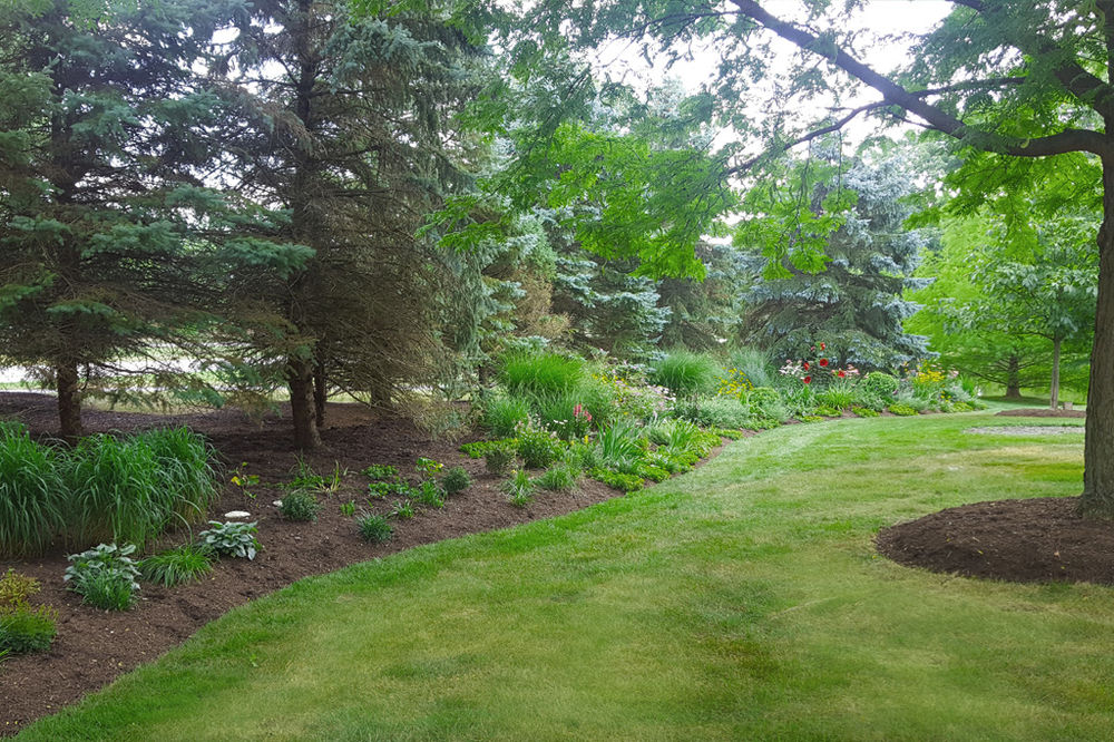 Award Received at Annual Landscape Awards Competition