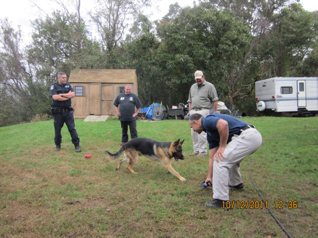 Security Work | All Island K9 Services