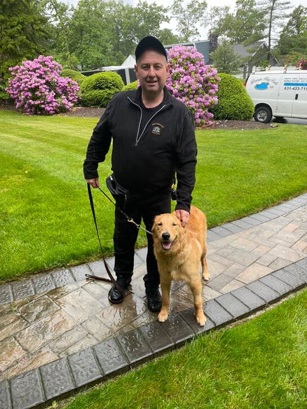 Dog Training | All Island K9 Services