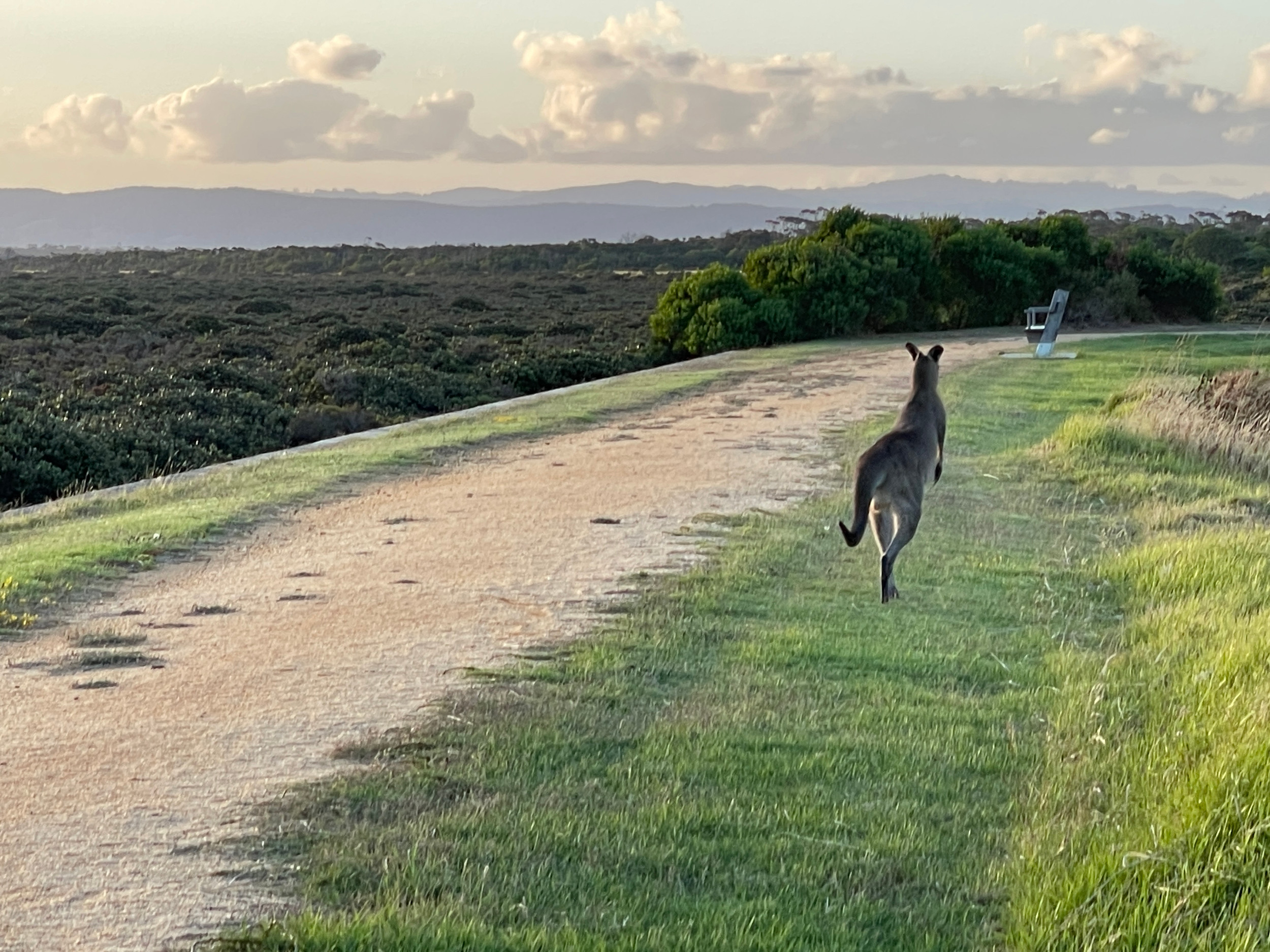 Walks & Tours | Visit Port Albert Victoria