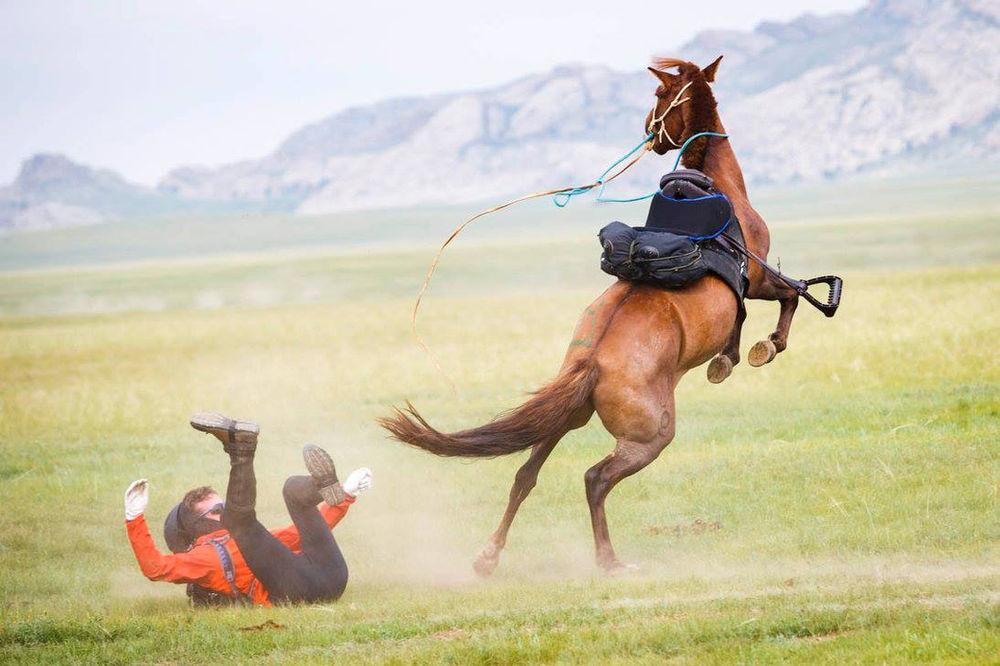 Lessons learned from the Mongol Derby