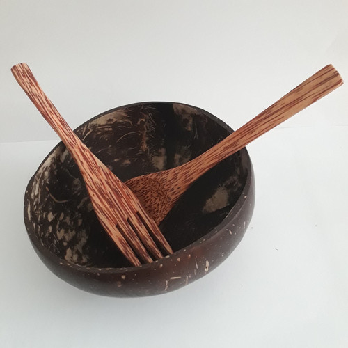 Coconut Bowl and Utensils | Off The Grid With A