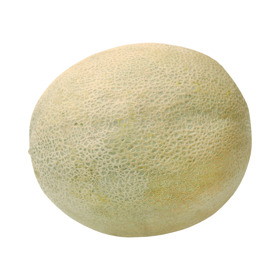 Rockmelon | Martelli Orchards