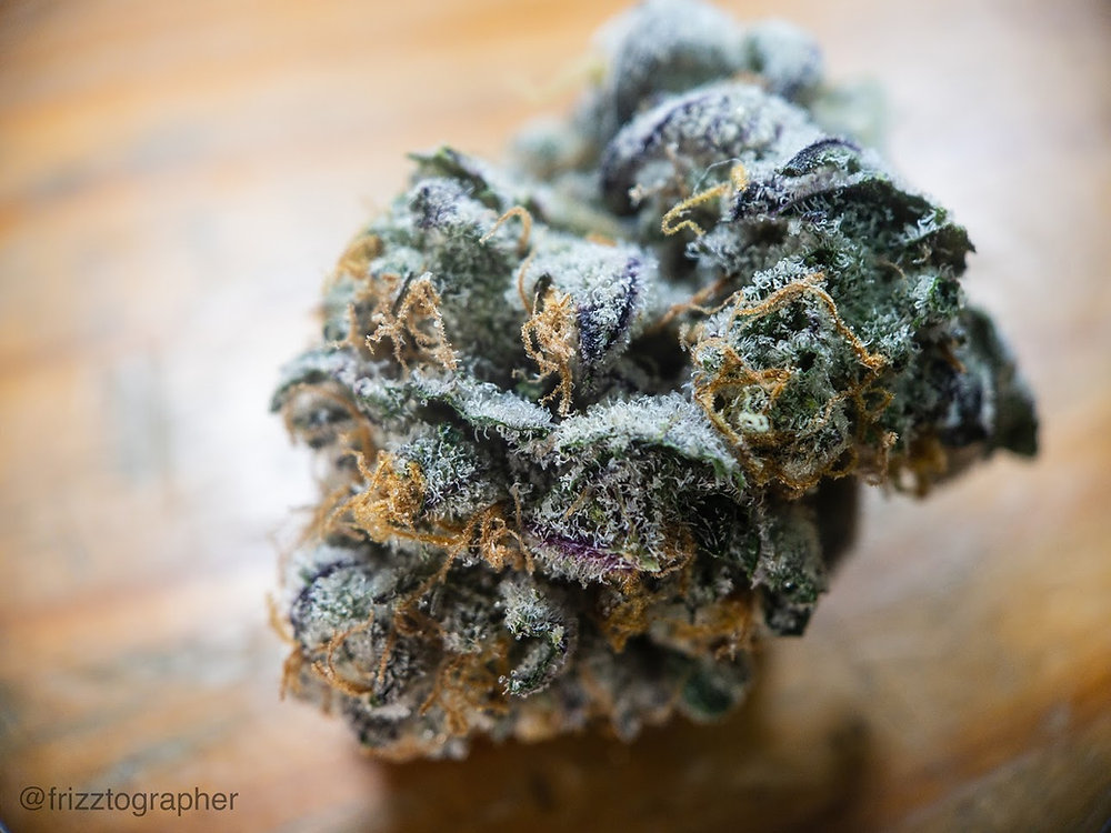 Lip Smacker Strain The Chronic's Exclusive Access to this Sativa ...