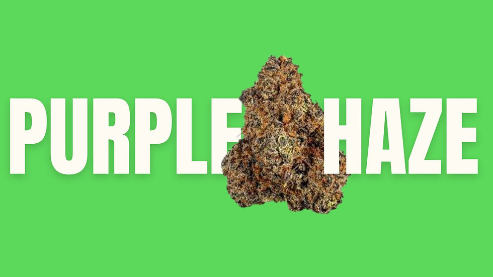 Exotic Weed Strains: The Ultimate List You've Been Waiting For