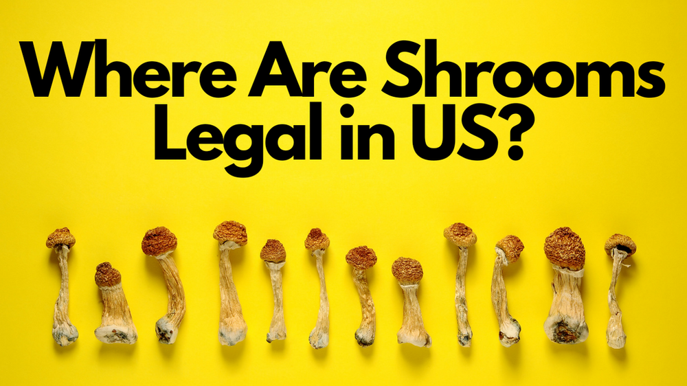 Where Are Shrooms Legal In the US? State-By-State Break Down.