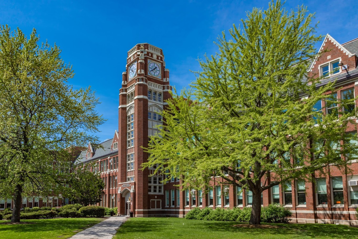 Home | Lane Tech '85